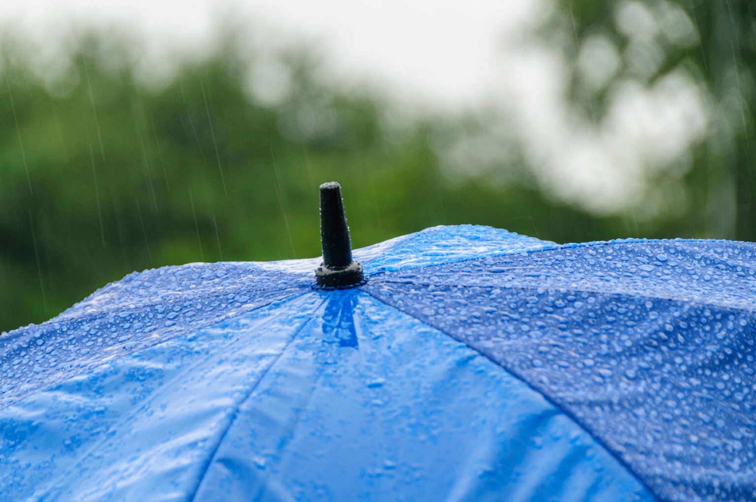 Mastering Wet Weather Golf: Essential Tips for Playing in the Rain ...